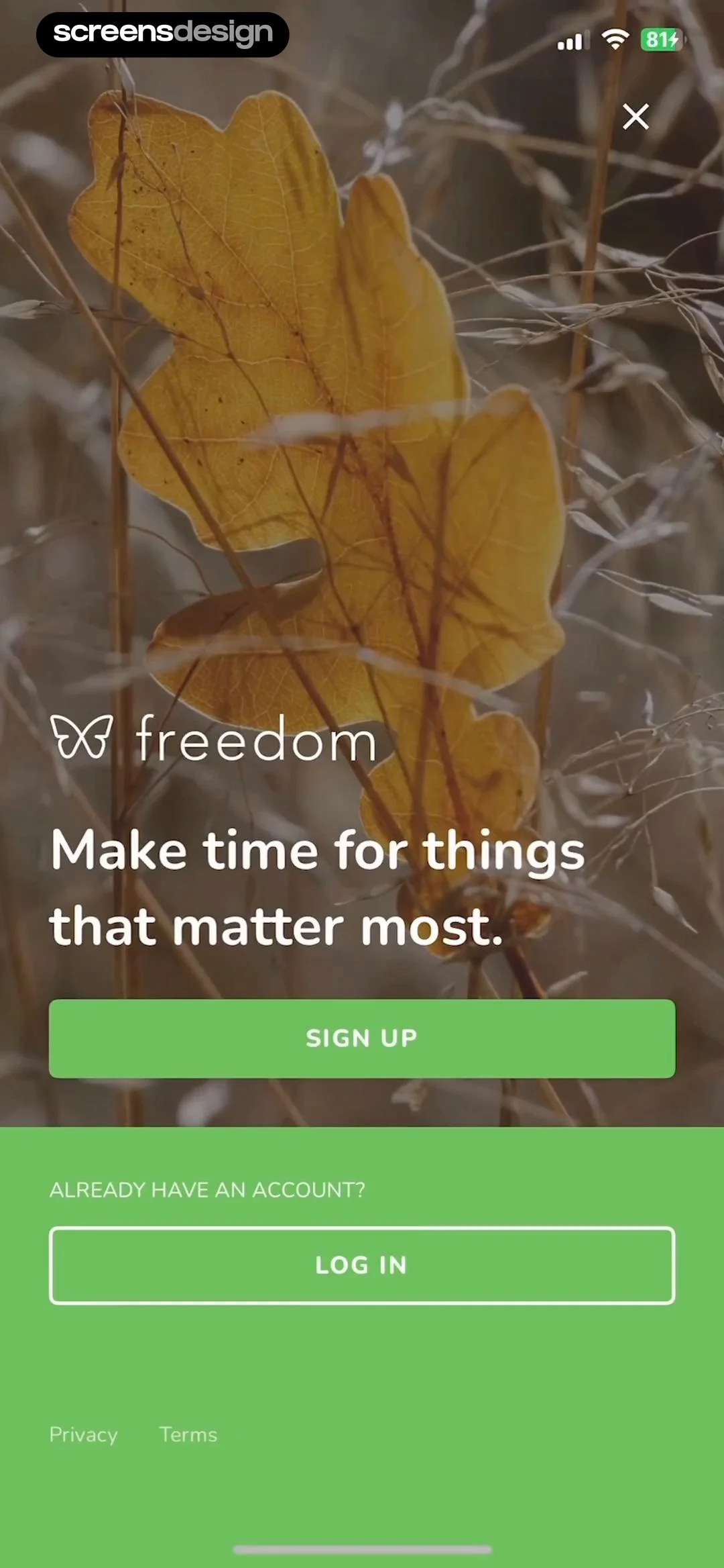 Freedom: Screen Time Control | ScreensDesign